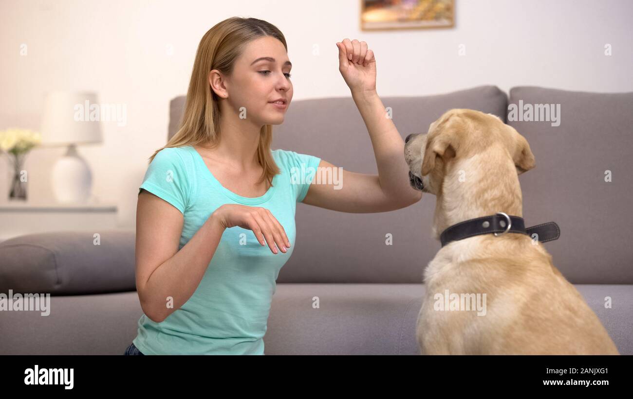 Housepet hi-res stock photography and images - Alamy