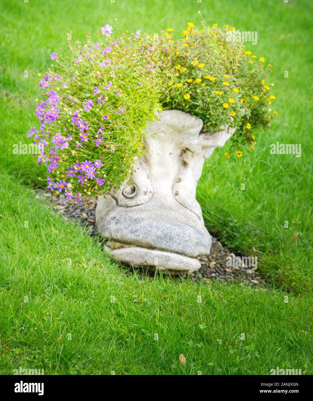 Boot flowers pots hi-res stock photography and images - Alamy