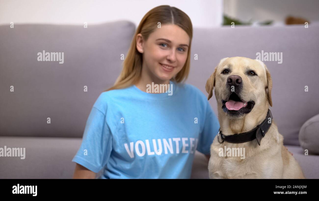 Female volunteer sitting near cute homeless labrador dog social ...