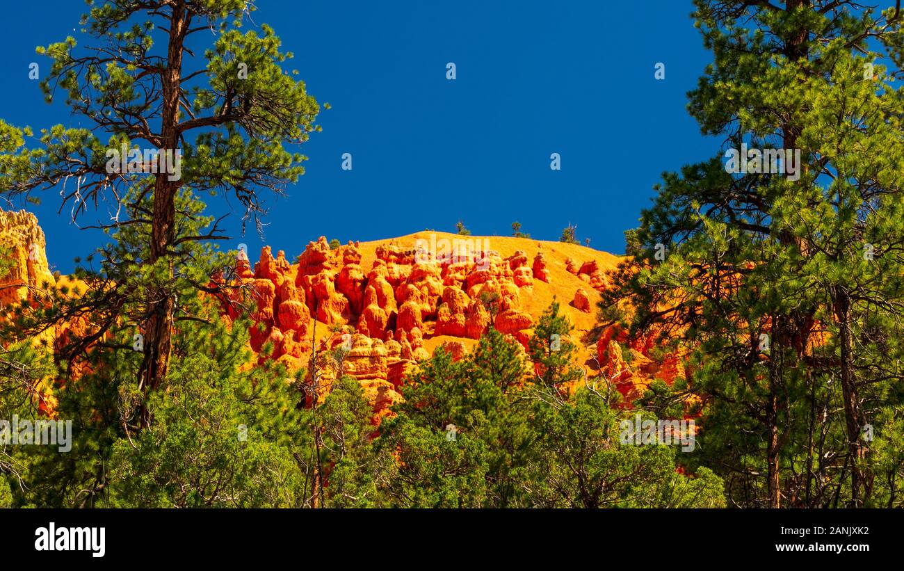 Red Canyon, Dixie National Forest, Utah Stock Photo - Alamy