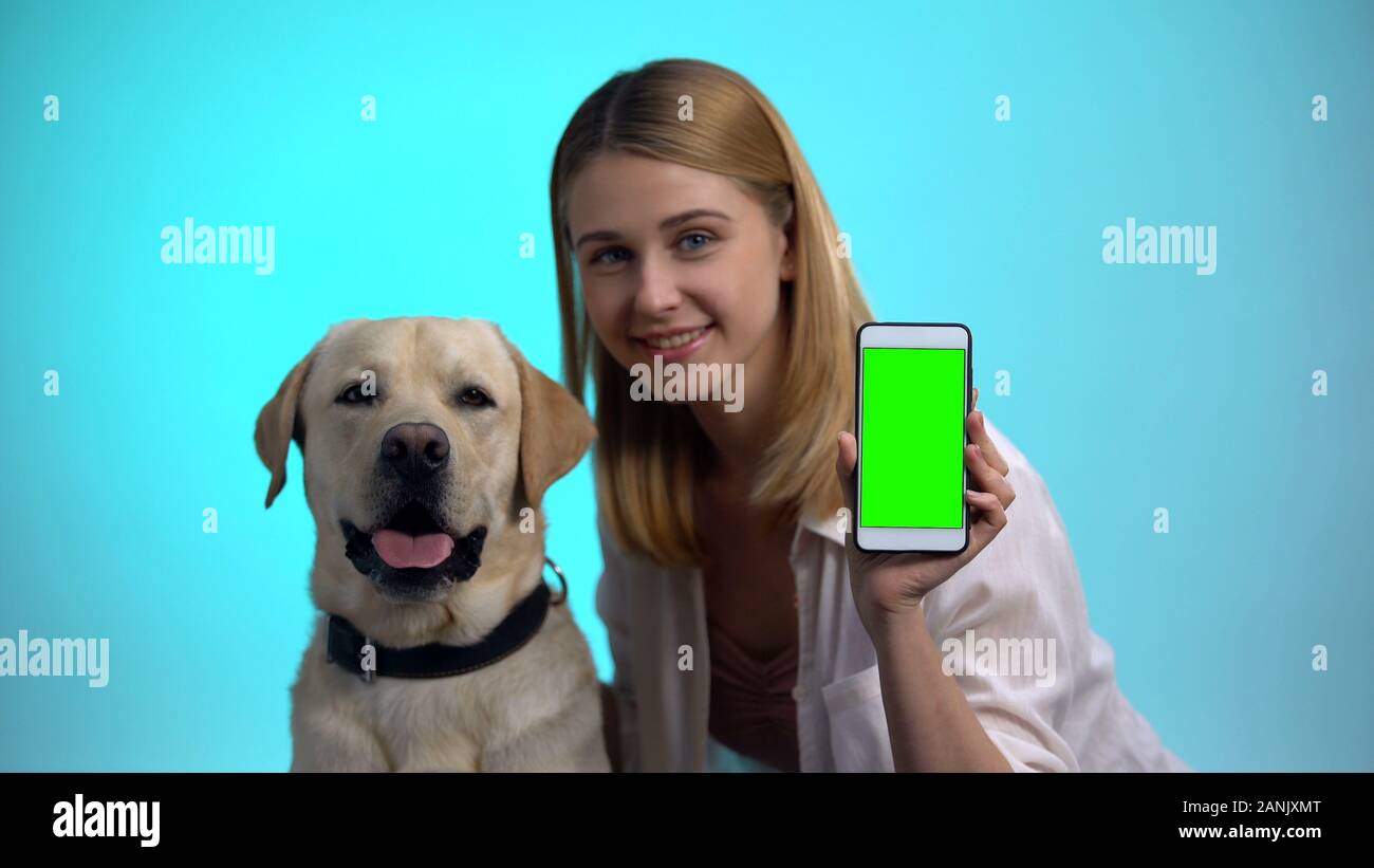 Joyful woman with purebred dog showing cellphone on camera, pet ...