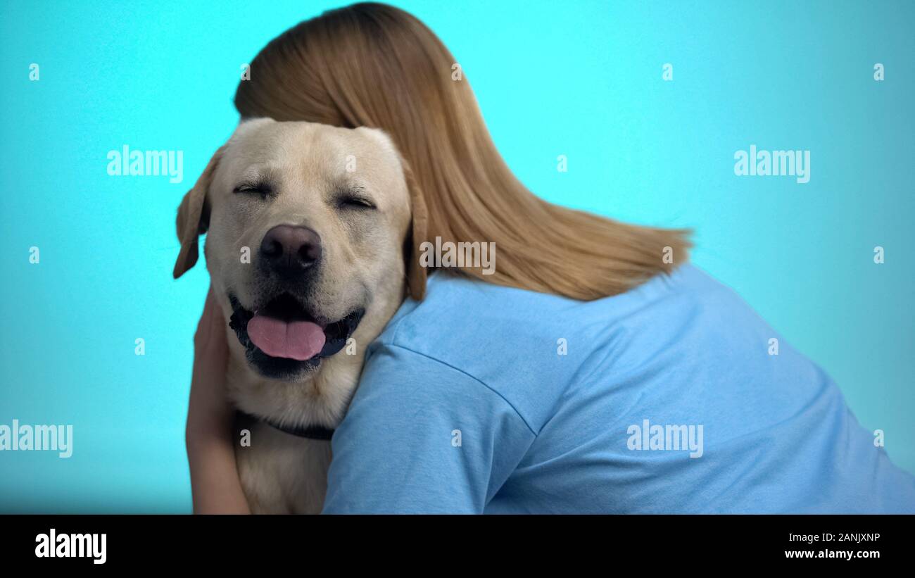 Caring dog owner hi-res stock photography and images - Alamy