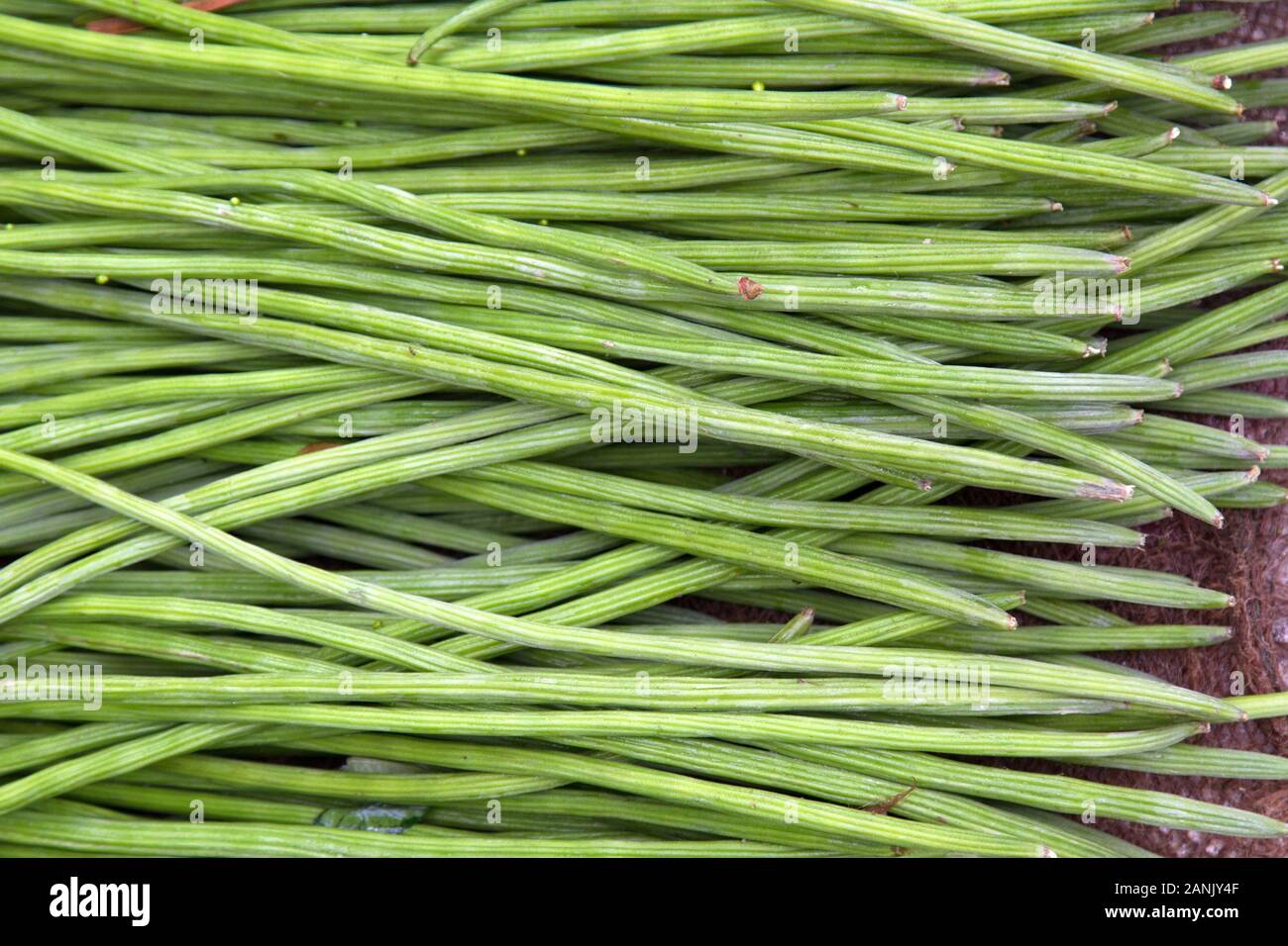 Bean background. Very long green pods of beans on Indian market Stock ...