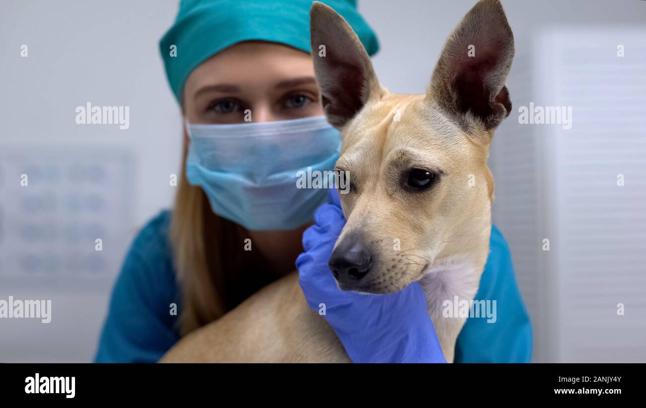 Doctor patient hugging in hospital hi-res stock photography and images ...