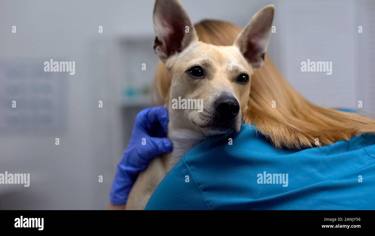 Medical checkup homeless hi-res stock photography and images - Alamy