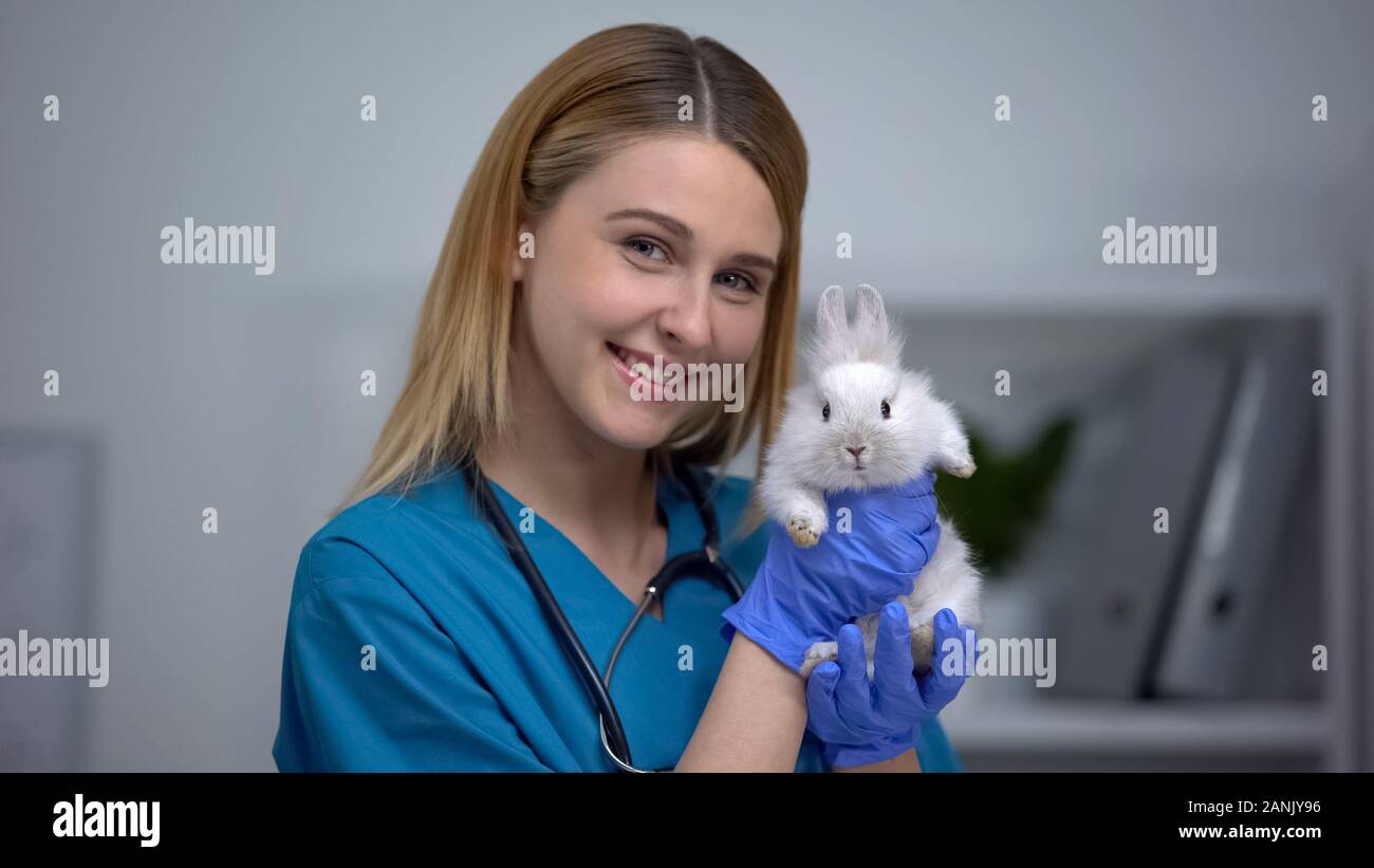 Friendly female pet doctor holding bunny, advertisement of veterinary ...