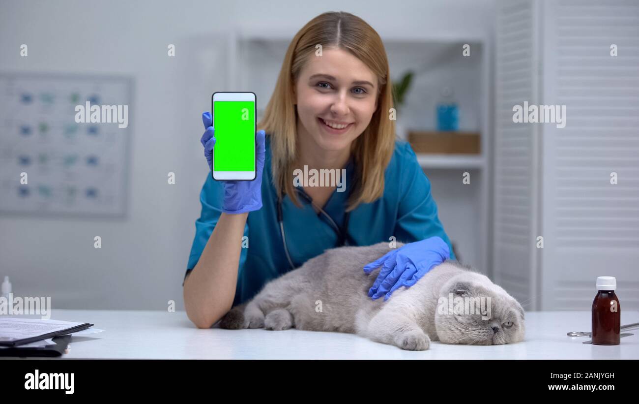 Female vet cat showing phone hi-res stock photography and images - Alamy