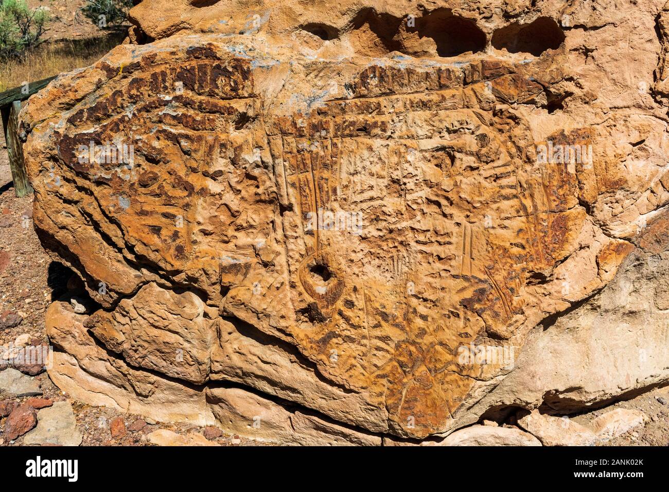Hickison Petroglyphs Recreation Area and Interpretive Site Stock Photo ...