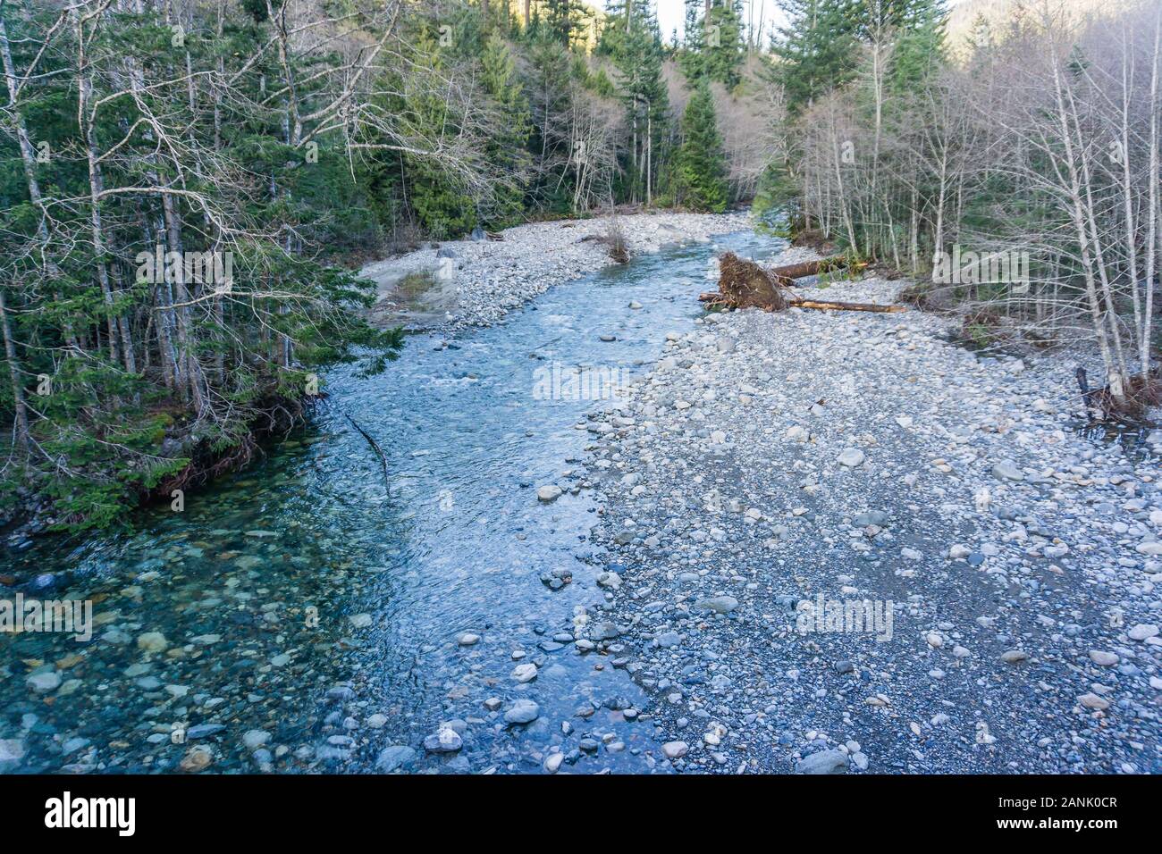 Evergreen trees line Denny Creek in Washington State Stock Photo - Alamy