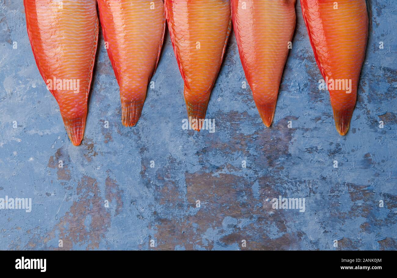 Beautiful tropical red sea fish Pearly razorfish on a blue background ...