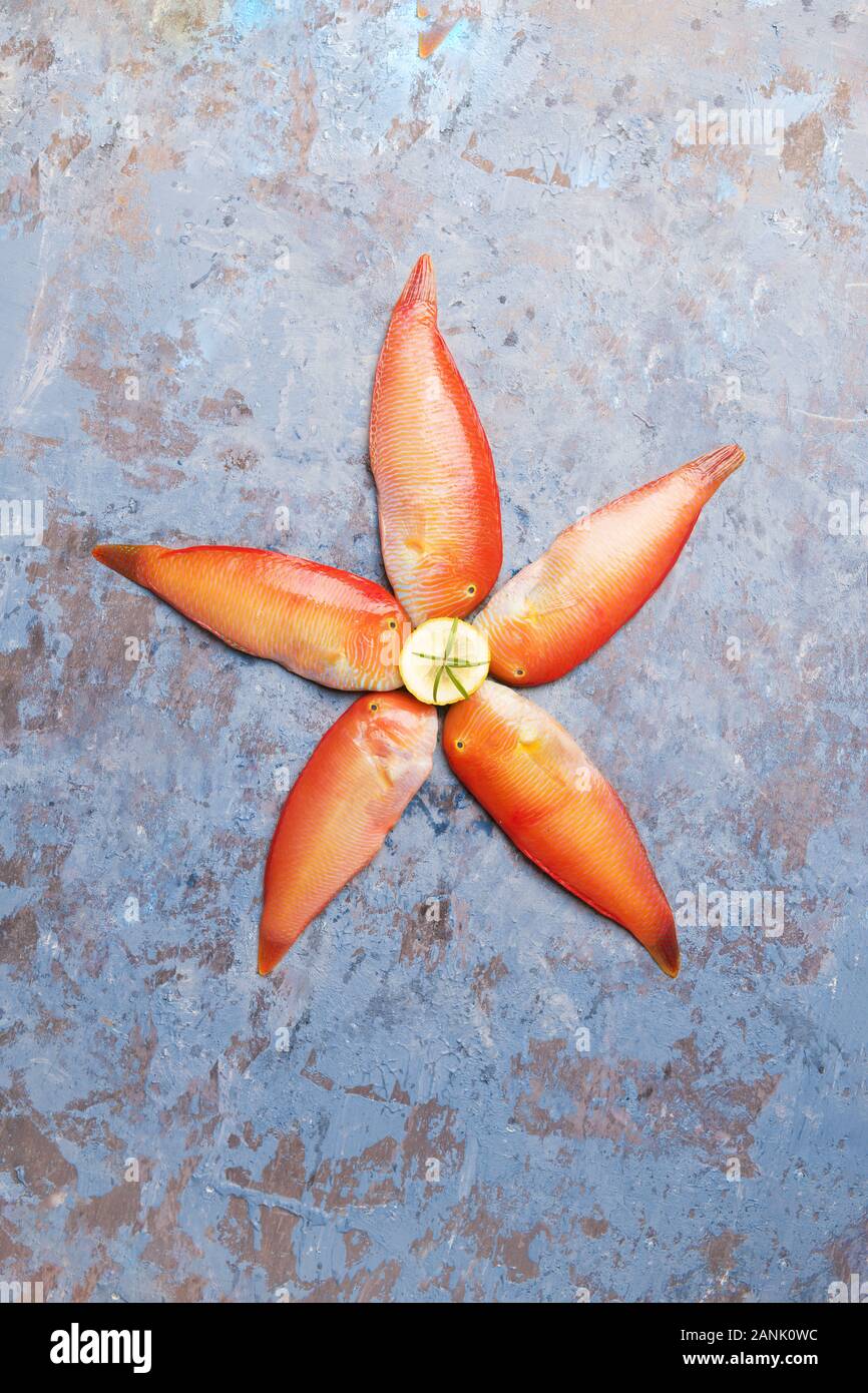 Beautiful tropical red sea fish Pearly razorfish on a blue background ...