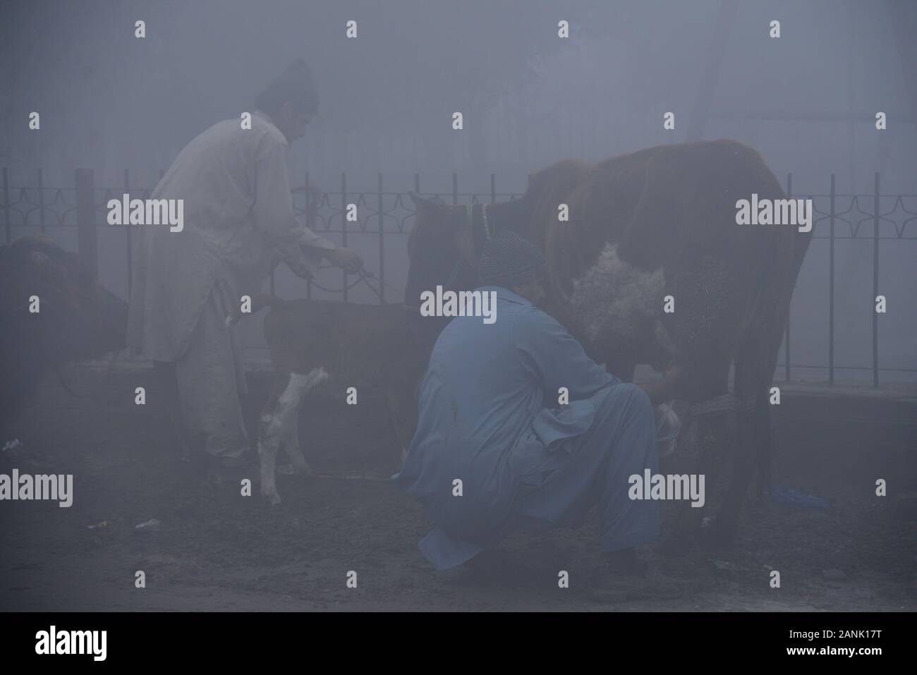 Lahore, Pakistan. 17th Jan 2020. A view of the fog engulfs the ...