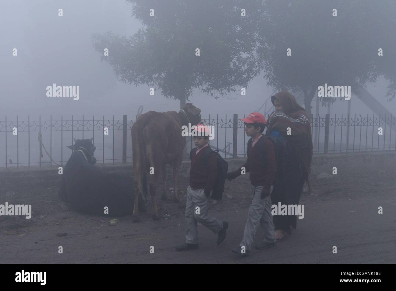 Lahore, Pakistan. 17th Jan 2020. A view of the fog engulfs the ...