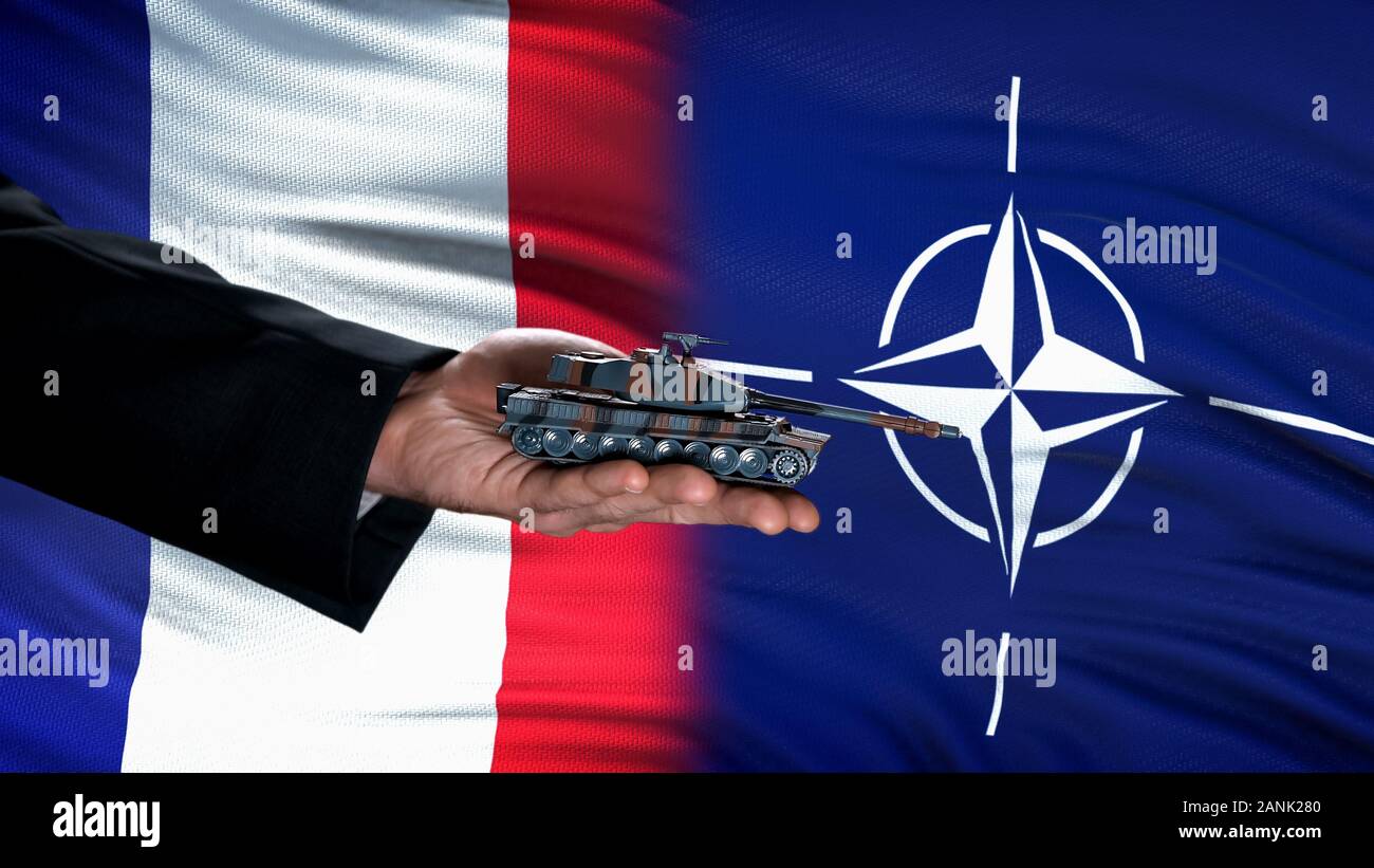 Official hand holding toy tank against France and NATO flag, weapon ...