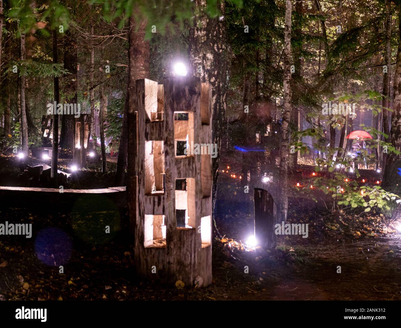abstract picture with light paintings, candle light in the forest, tree ...