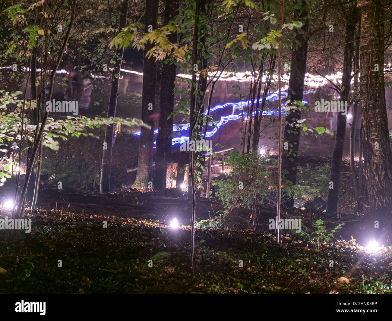 abstract picture with light paintings, candle light in the forest, tree ...