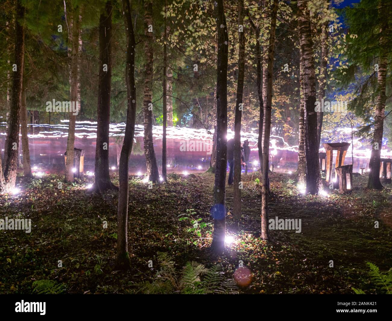 abstract picture with light paintings, candle light in the forest, tree ...