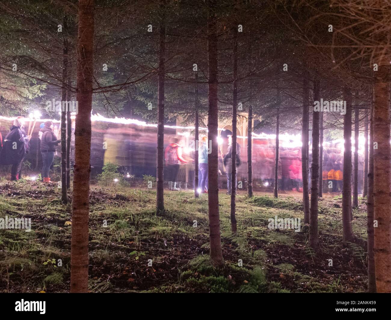 abstract picture with light paintings, candle light in the forest, tree ...