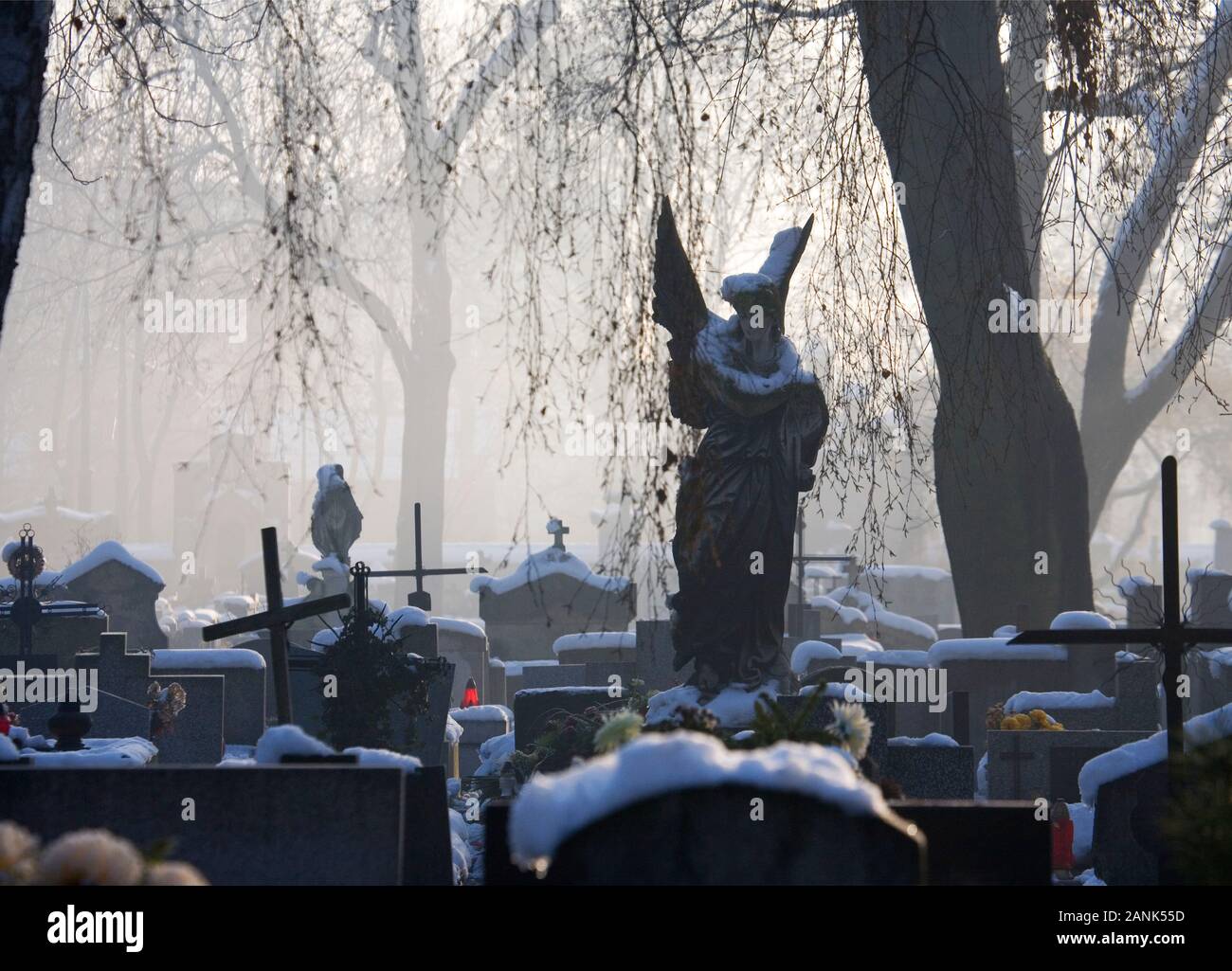 Rakowicki cemetery hi-res stock photography and images - Alamy