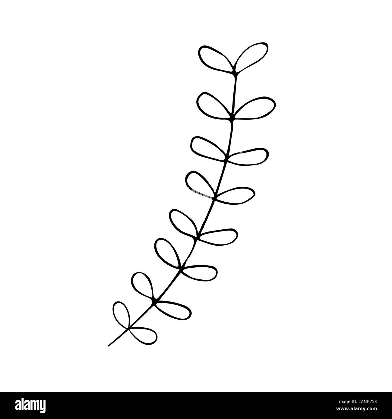 Sprig with leaves in doodle style. Black and white illustration spring ...