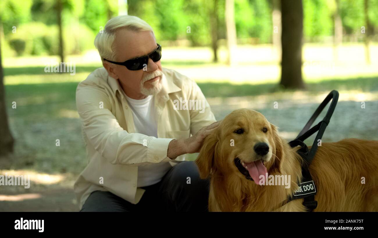 Blind man guide dog hi-res stock photography and images - Alamy