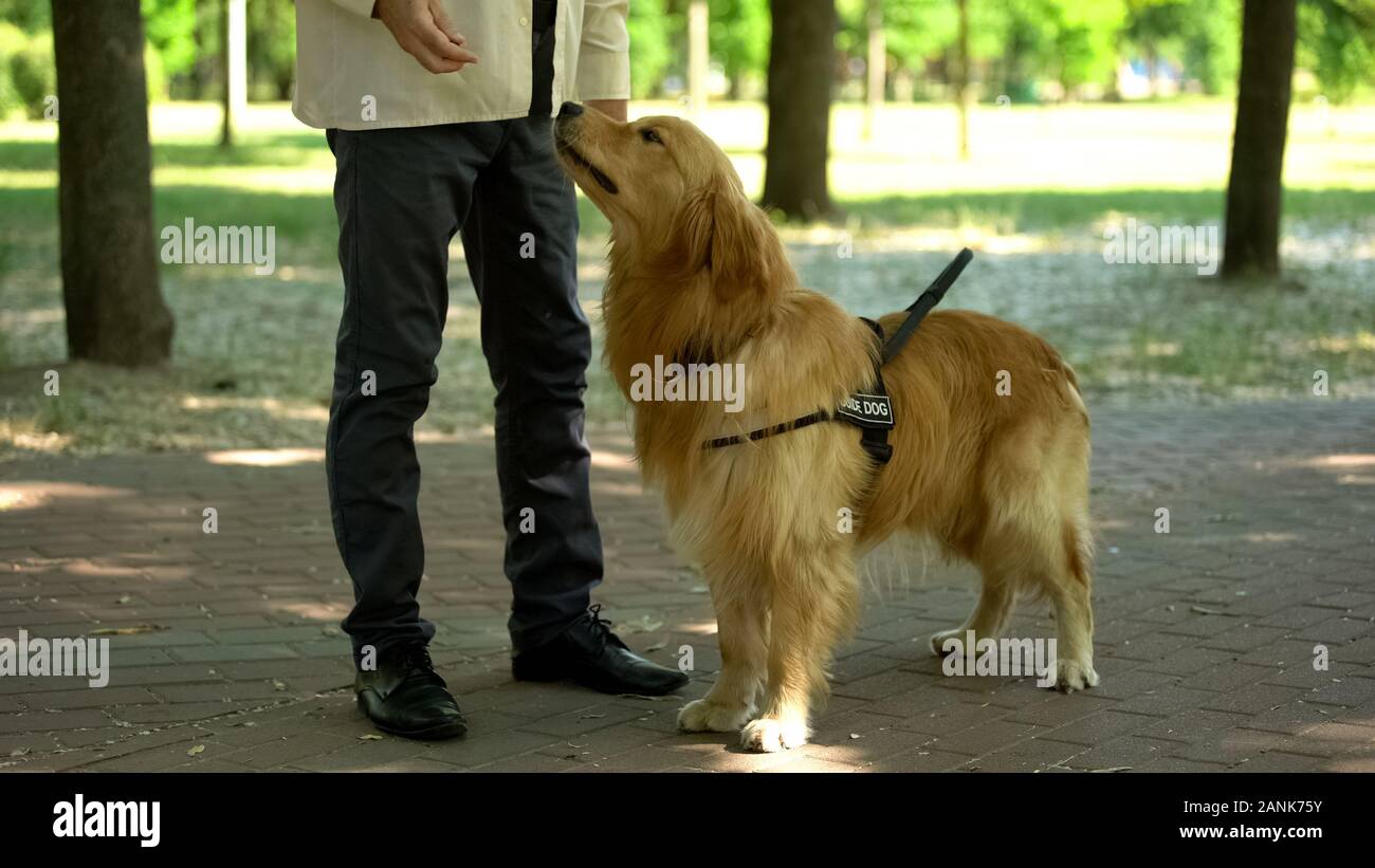 Professional behaviour hi-res stock photography and images - Alamy