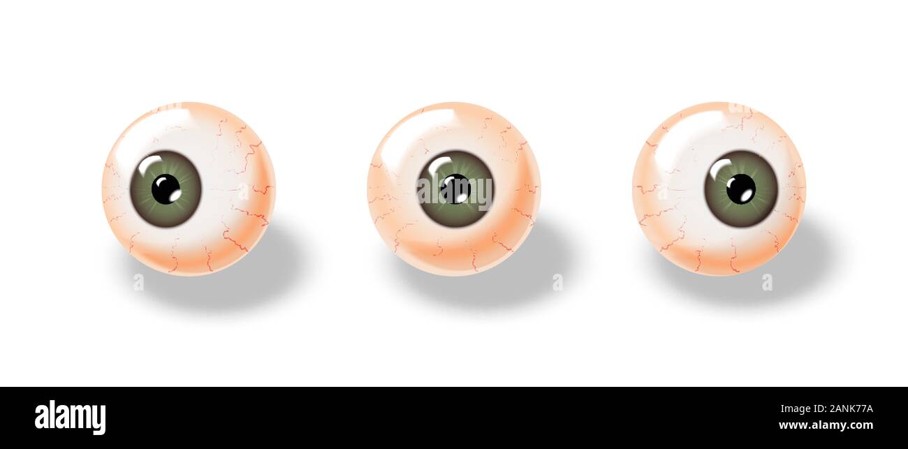 set of realistic eyes with different gaze direction. vector ...