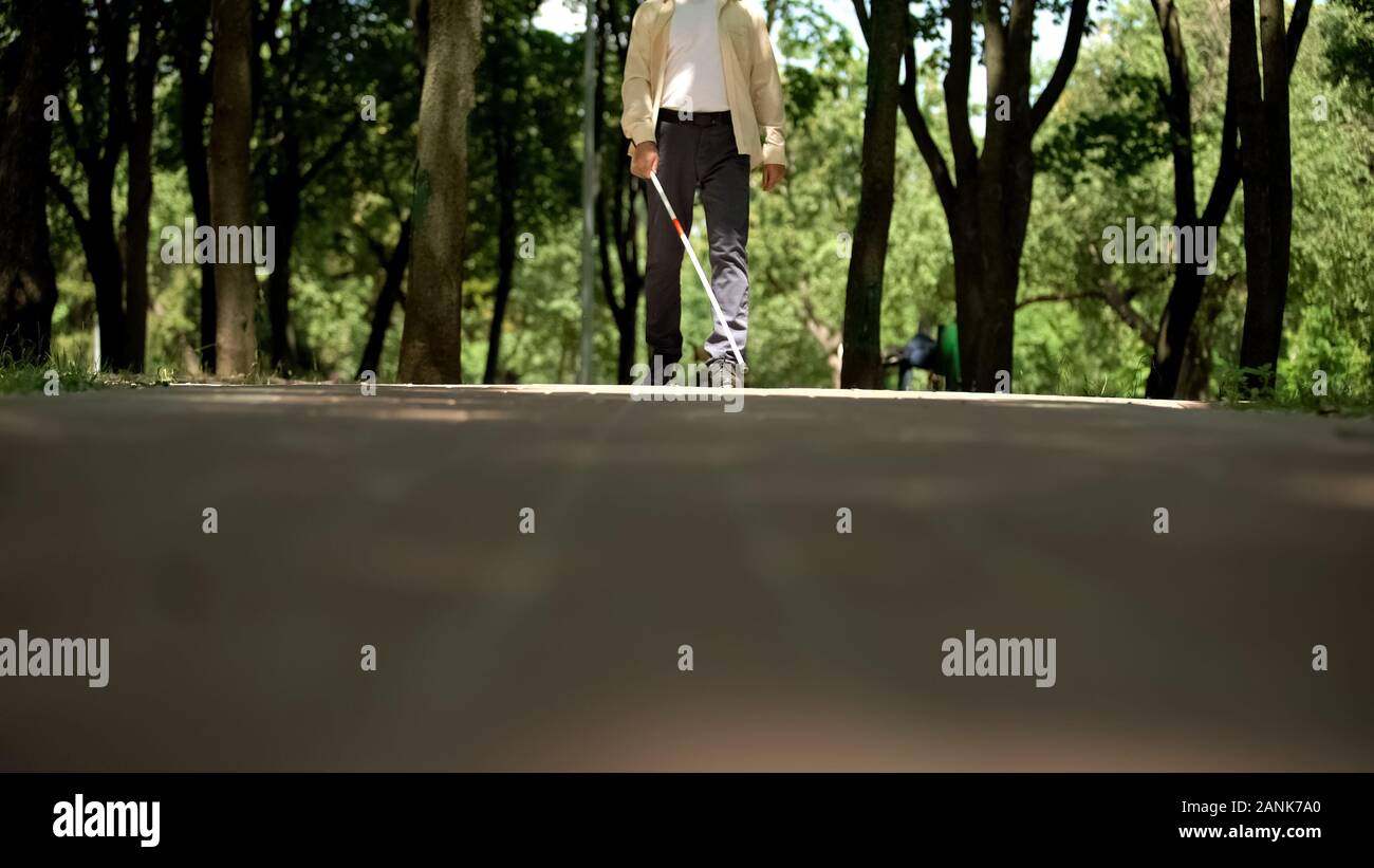 Blind man walking in park, using long cane to scan way for obstacle ...
