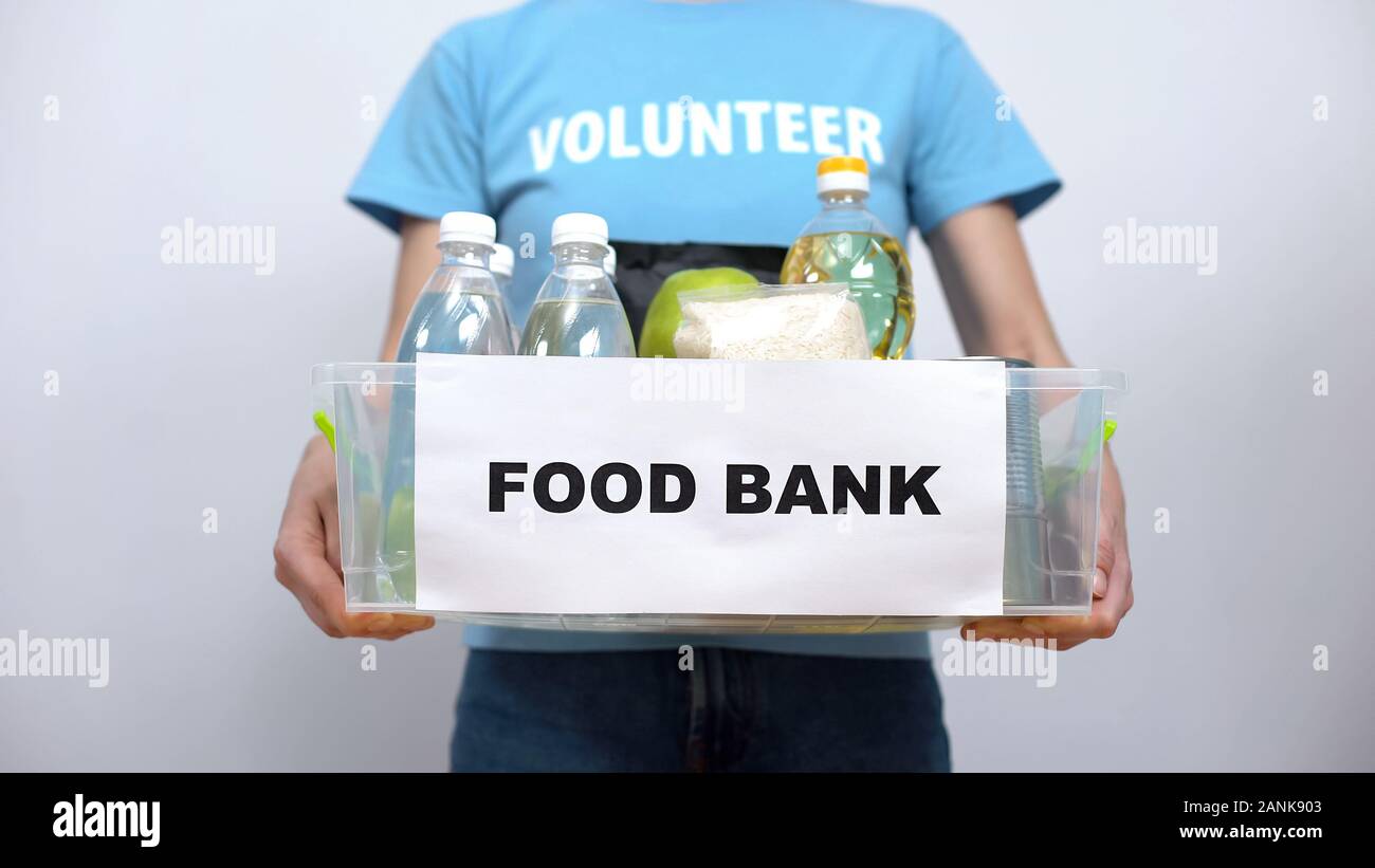 Social activist holding food bank container, provision project charity ...