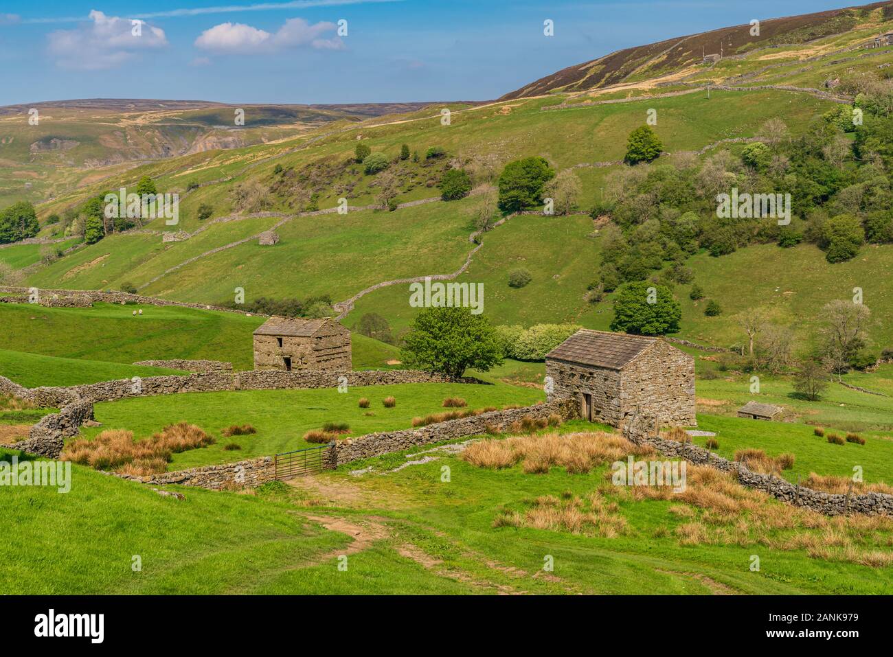 Swaledale landscape between Keld and Thwaite, North Yorkshire, England ...