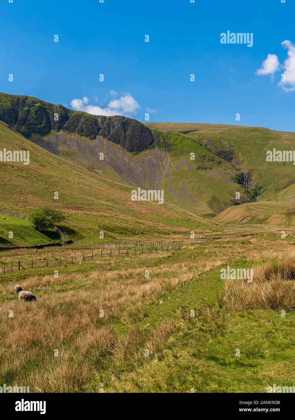 Haygarth High Resolution Stock Photography and Images - Alamy