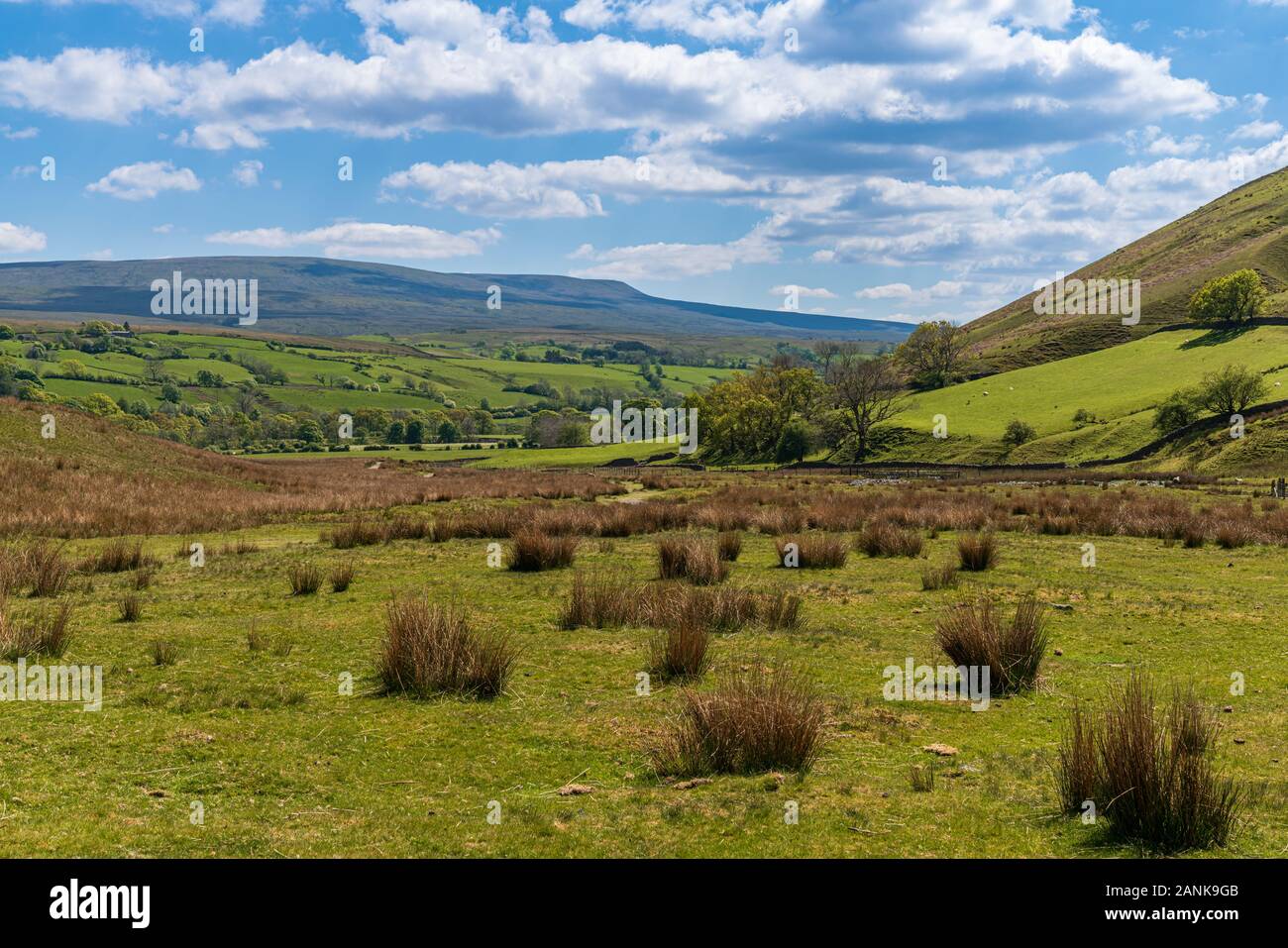 Yorkshire Dales Landscape near Low Haygarth, Cumbria, England, UK Stock ...