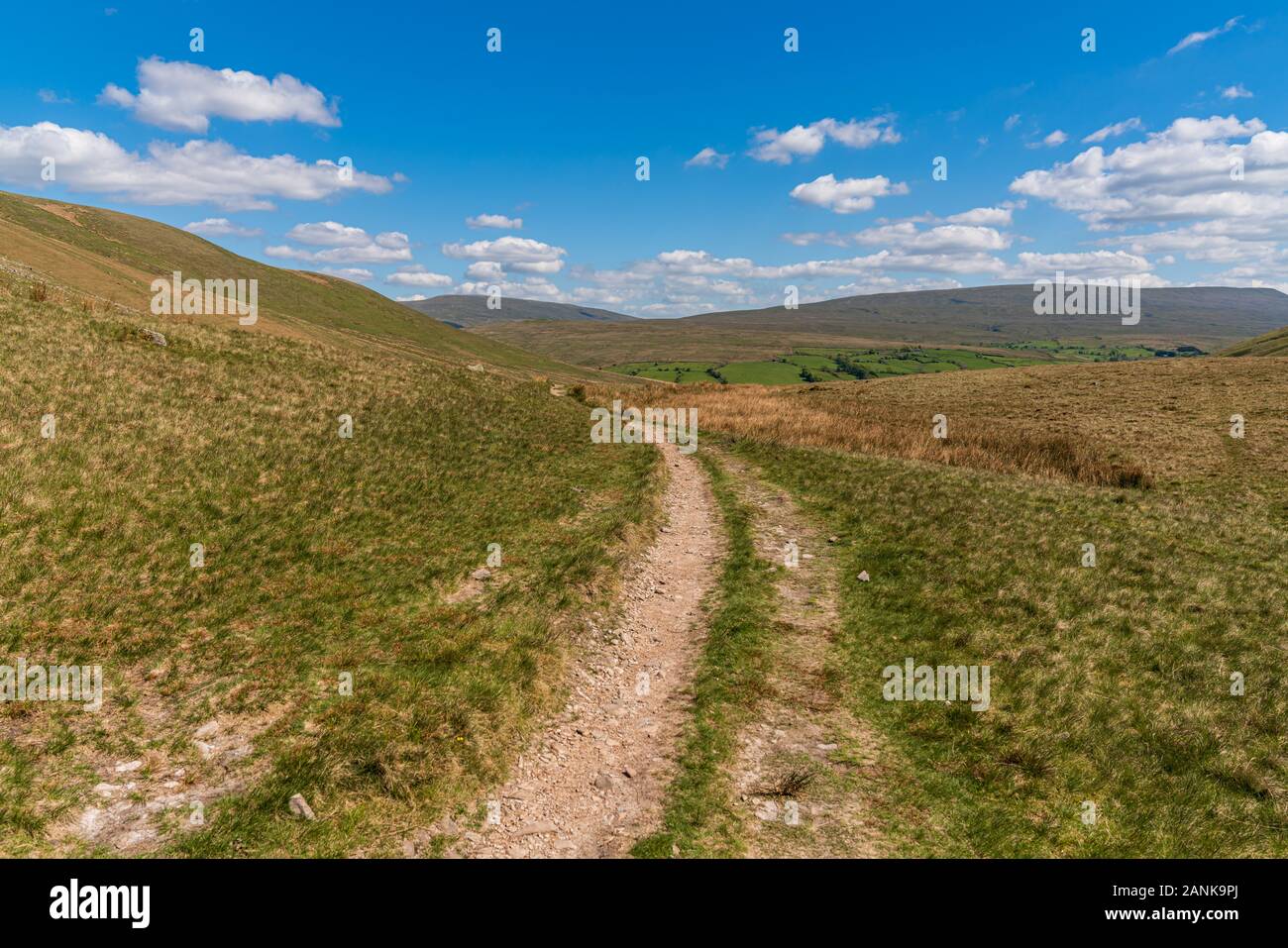 Haygarth hi-res stock photography and images - Alamy