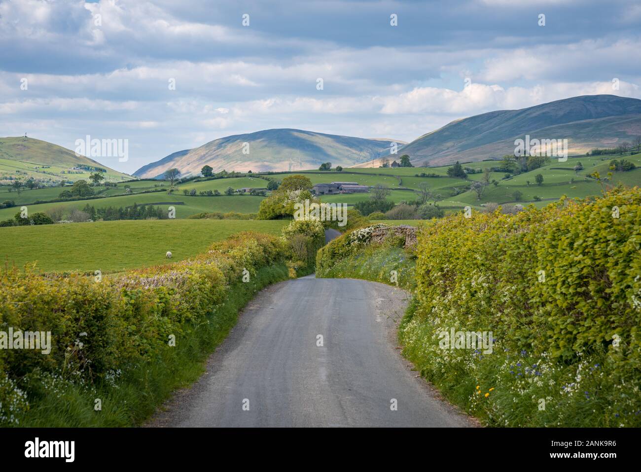 Rural road in the Yorkshire Dales landscape between Sedbergh and Beck ...
