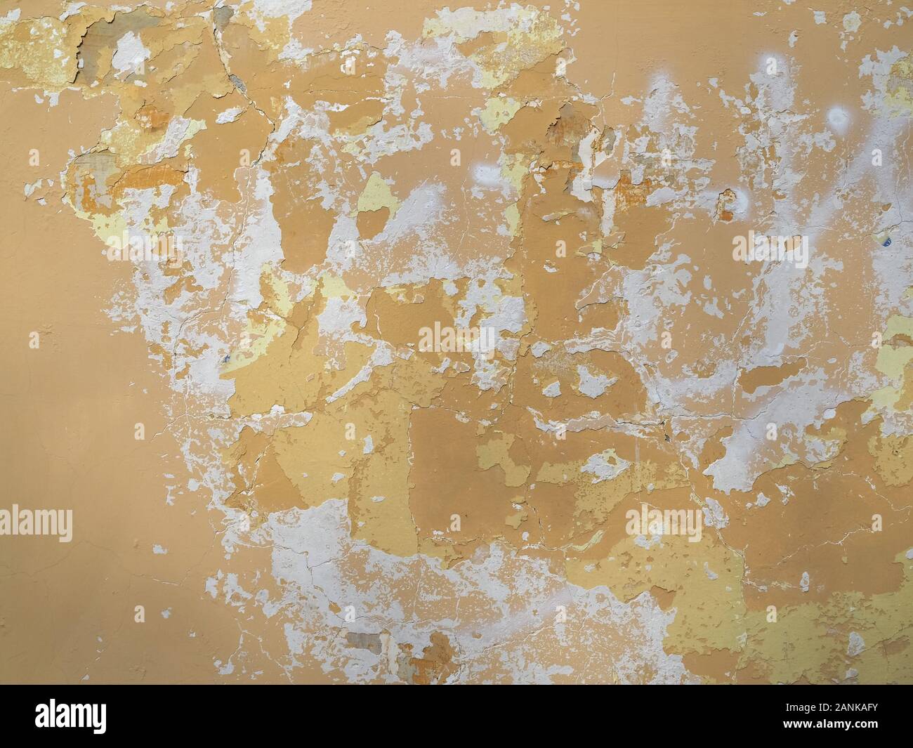 damage caused by dampness and moisture on a wall Stock Photo - Alamy