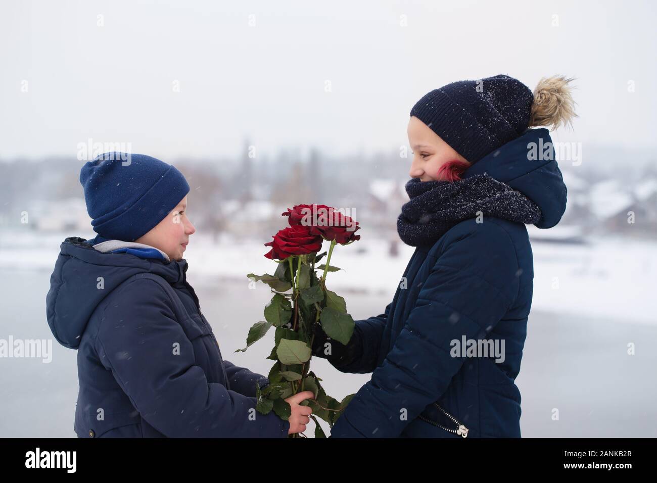 Boy giving rose girl hi-res stock photography and images - Alamy