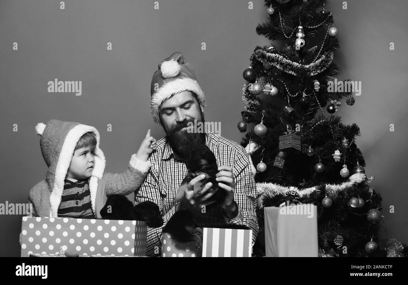 Man and boy in Santa hat and hood play with puppies. Pet for Christmas ...