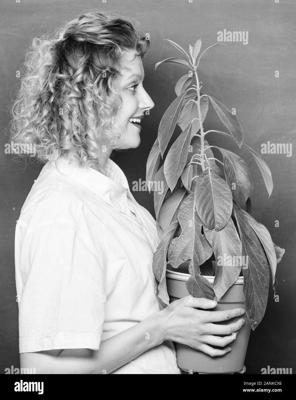 Botanical expert. Botany education. Botany is about plants flowers and ...