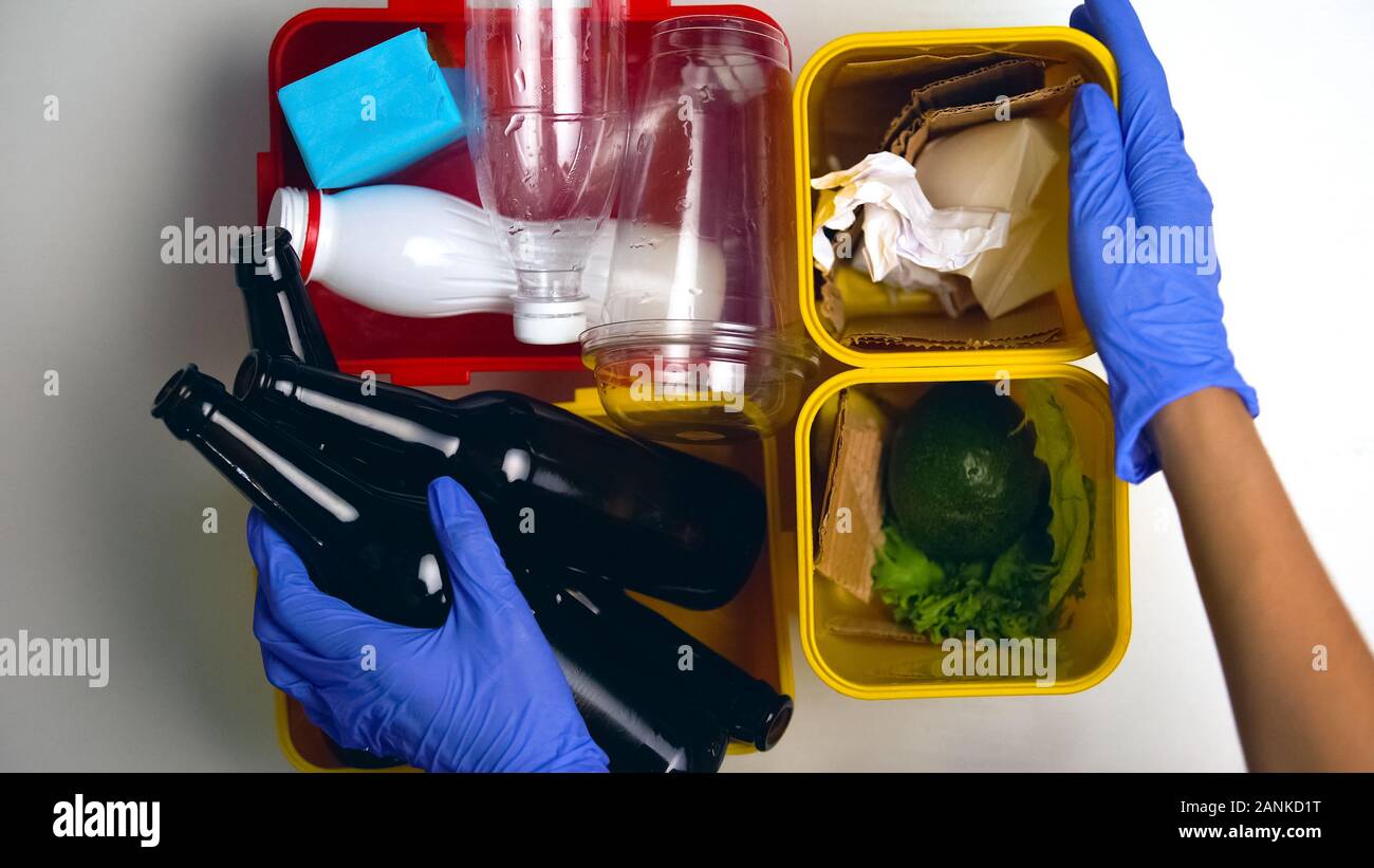 Volunteer hands in gloves sorting litter in different bins, recycling ...