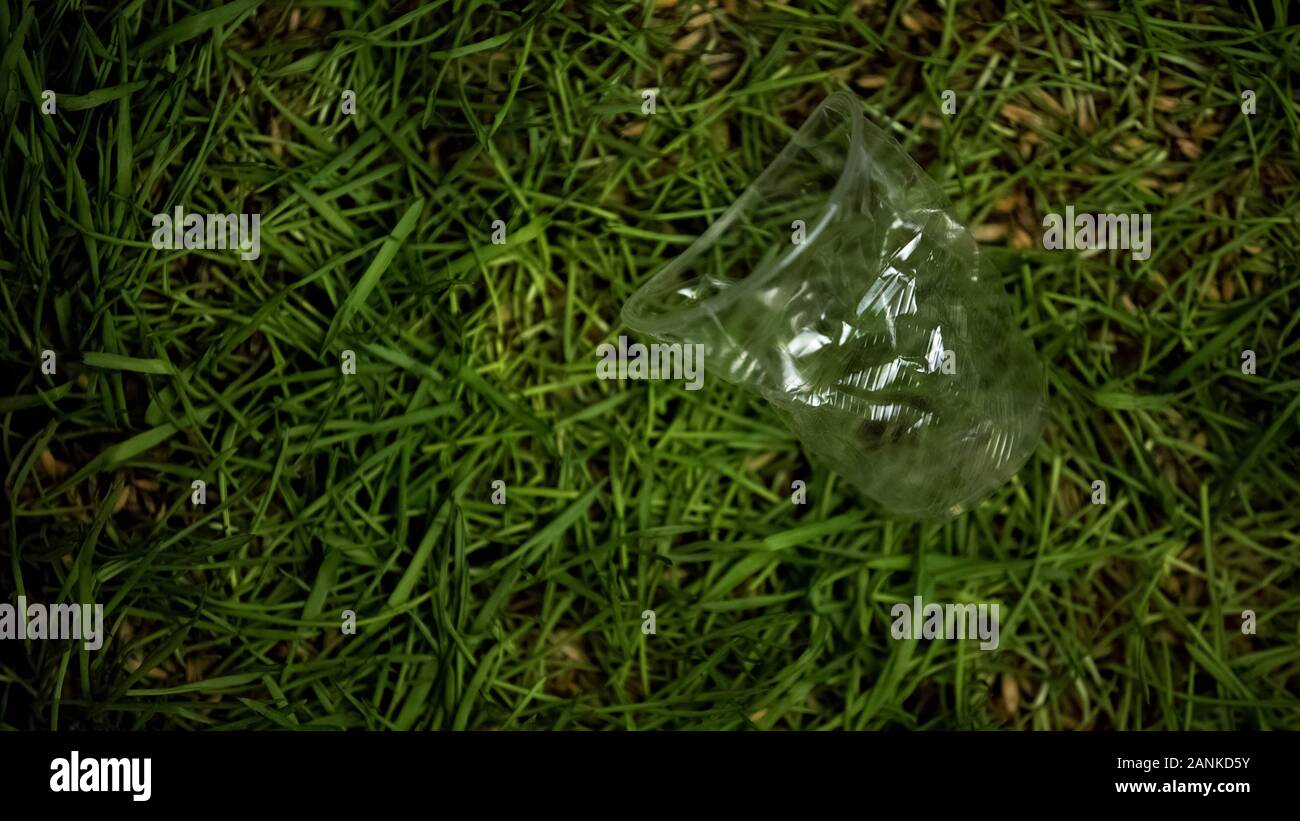 Crumpled plastic cup thrown on lawn, environmental pollution problem ...