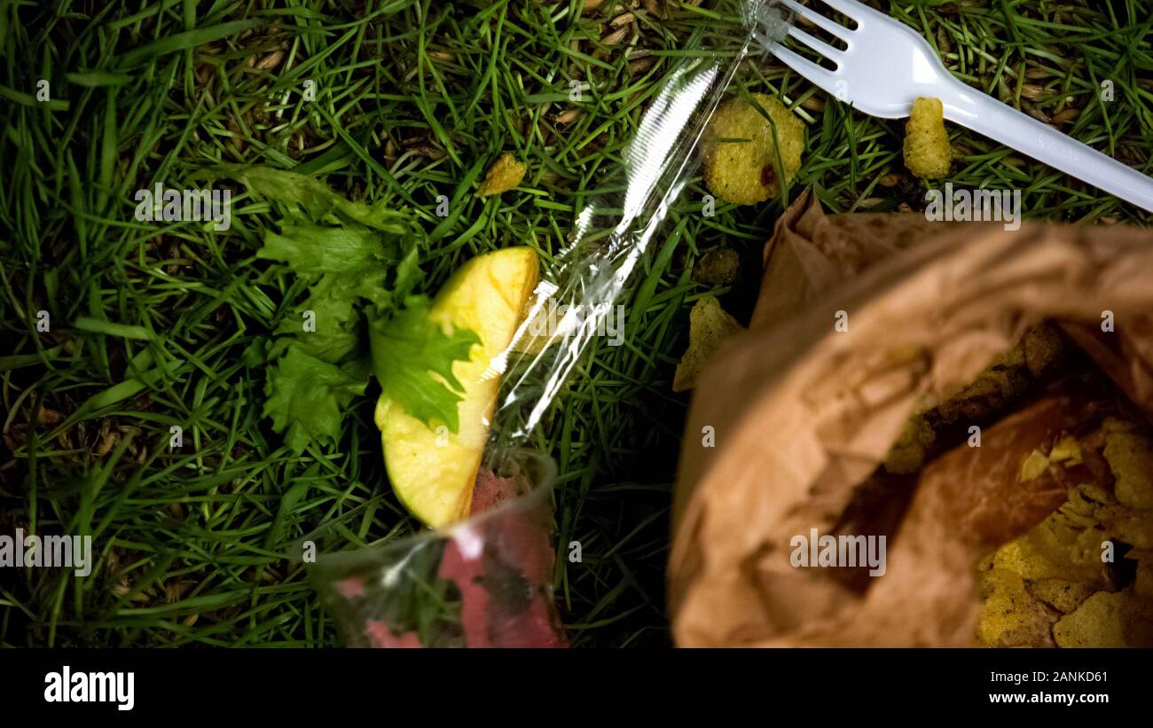 Litter thrown on grass after picnic, nature neglect, environmental ...