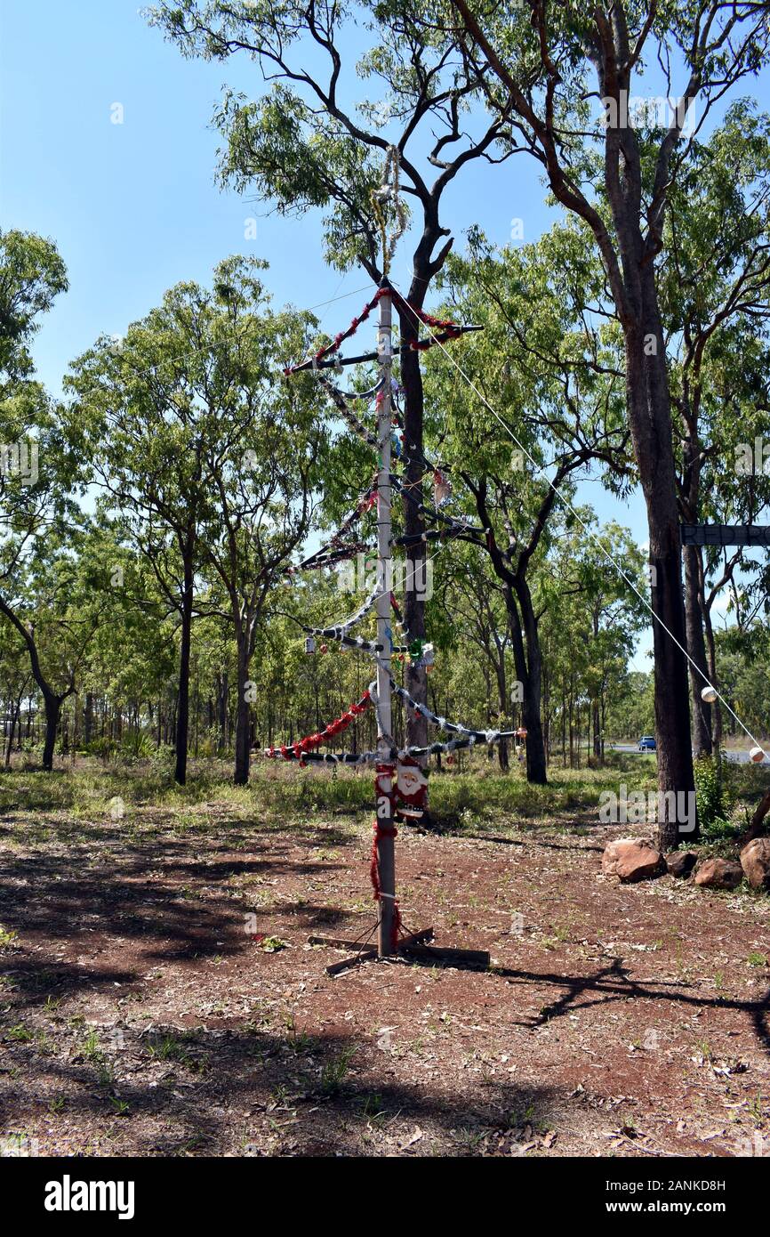 Spindly tree hi-res stock photography and images - Alamy
