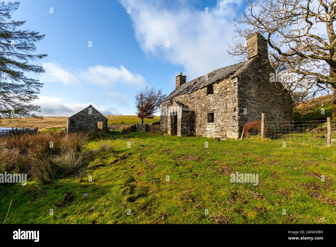 Old abandoned ruined farm house near the shore of Llyn Alwen, North ...