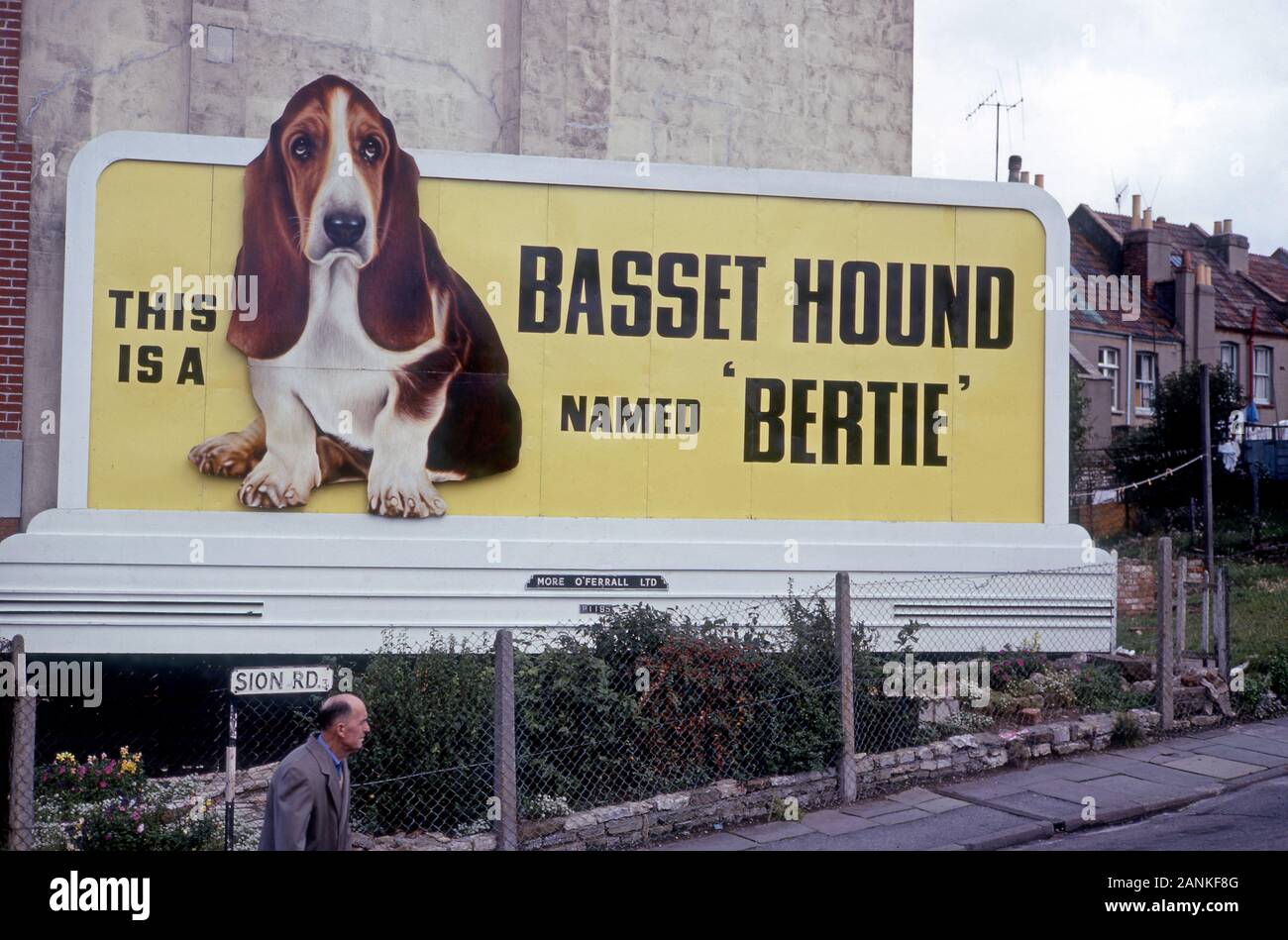 What Is The Basset Test