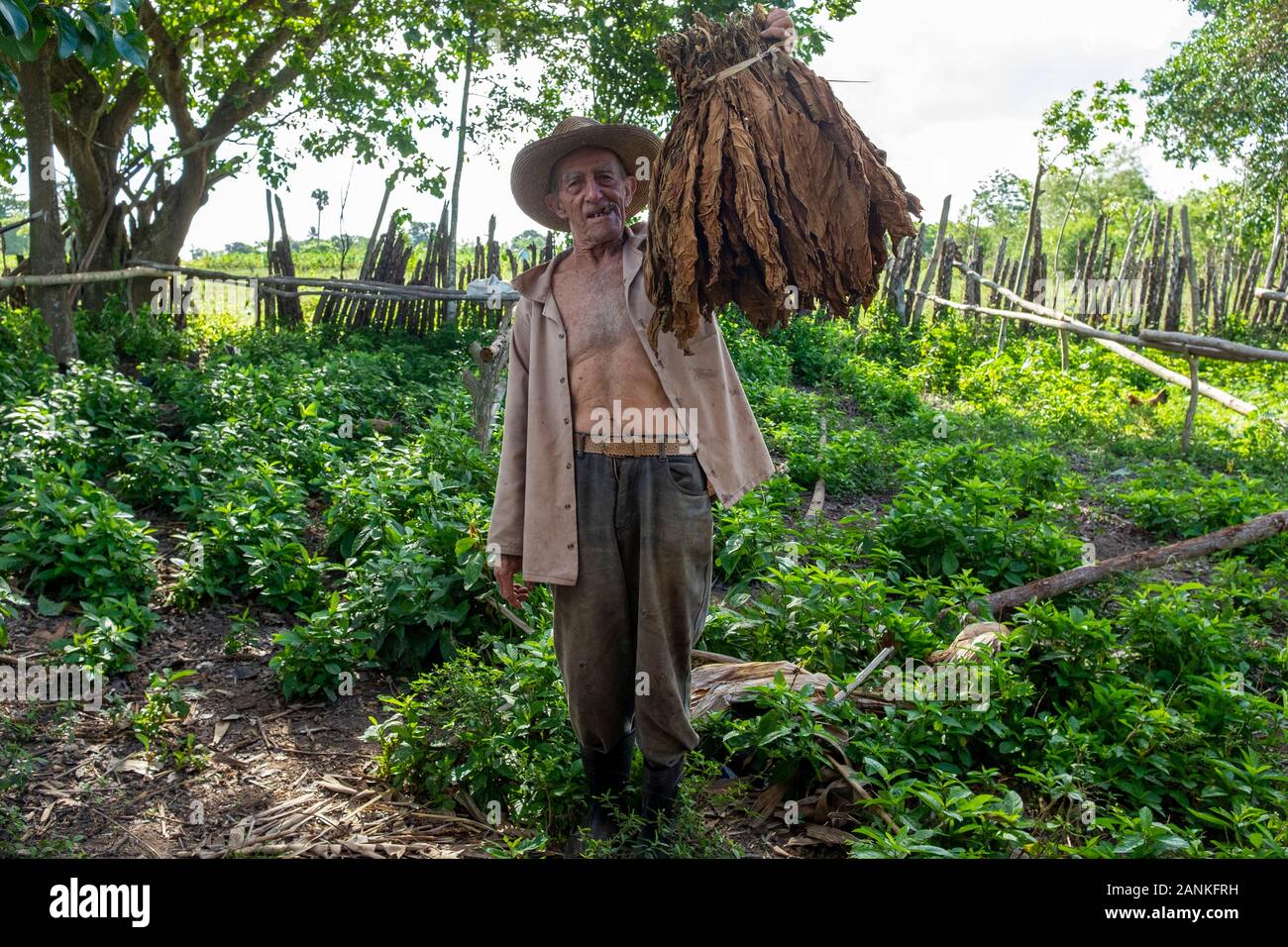 El cayuco hi-res stock photography and images - Alamy