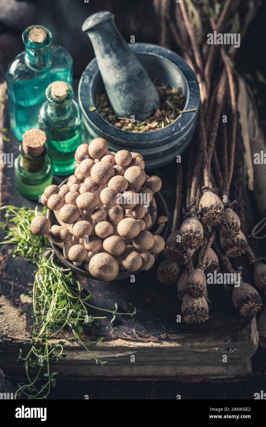 Vintage herbalist laboratory with ingredients and herbs Stock Photo - Alamy