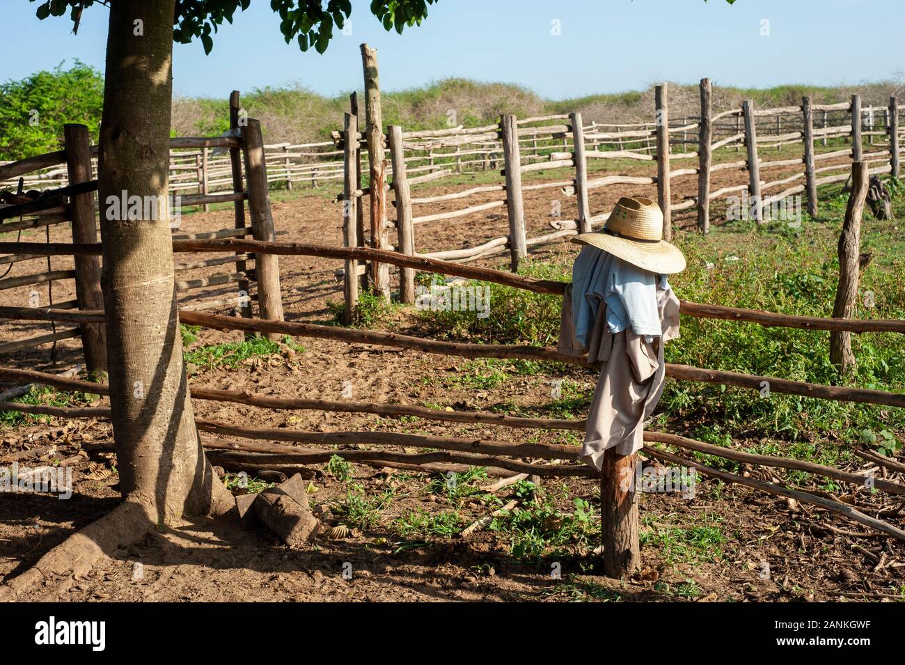 Farm. El Cayuco, Pinar Del Río, Cuba Stock Photo - Alamy