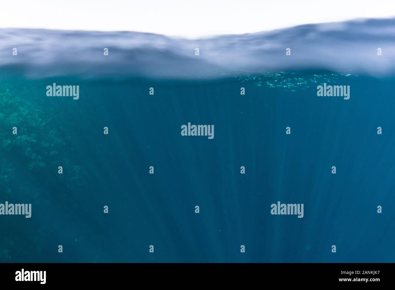 Half under half over water photography in the beautiful ocean of egypt ...