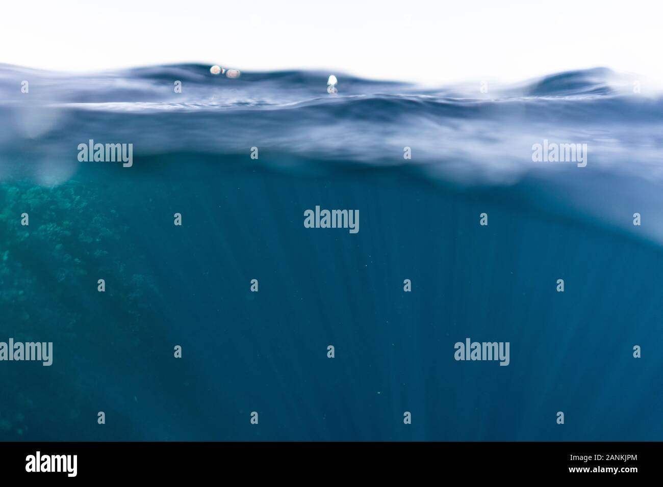 Half under half over water photography in the beautiful ocean of egypt ...