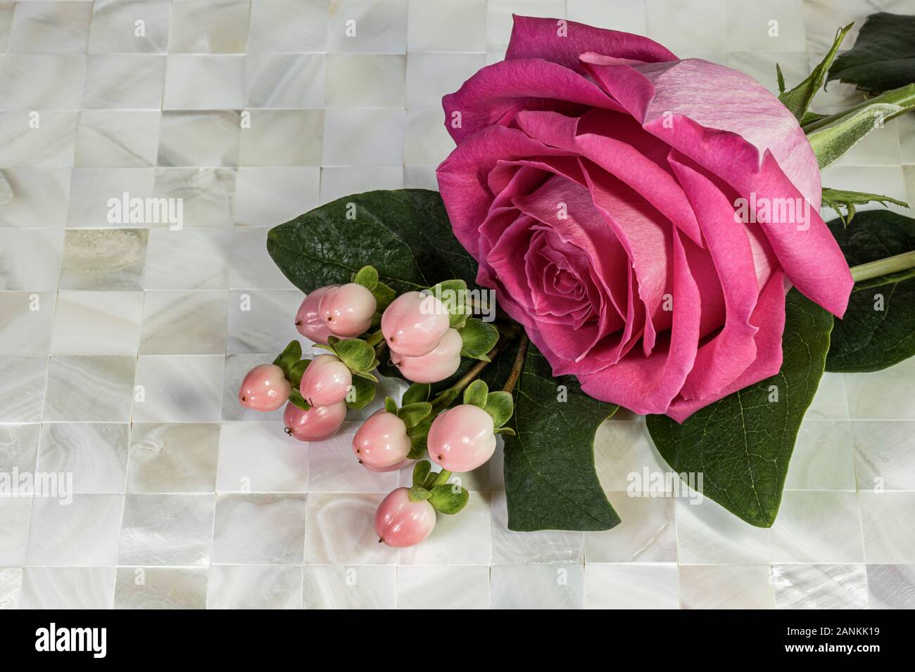 St johns word hi-res stock photography and images - Alamy